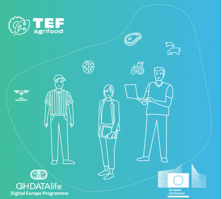 DATAlife DIH — Hub de Innovación Digital de las PYMES de Galicia